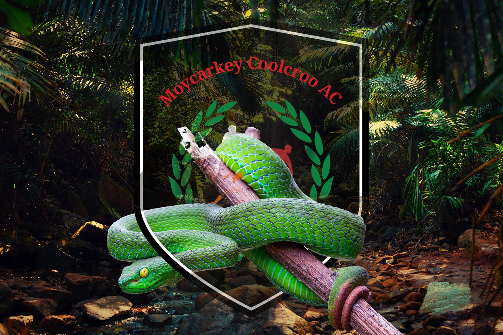 Jungle Fundraiser - moycarkey coolcroo ac.